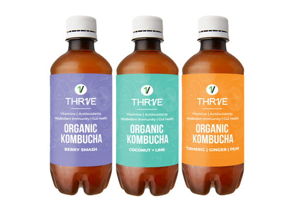 Organic Kombucha Variety Pack | Most Fizzy Rinks And Contains Plenty Of ...